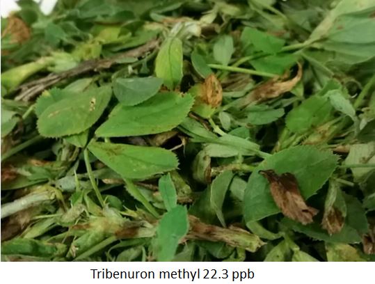 Pesticide Testing – South Dakota Agricultural Laboratories