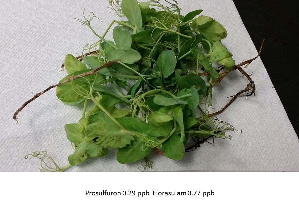 Pesticide Testing – South Dakota Agricultural Laboratories