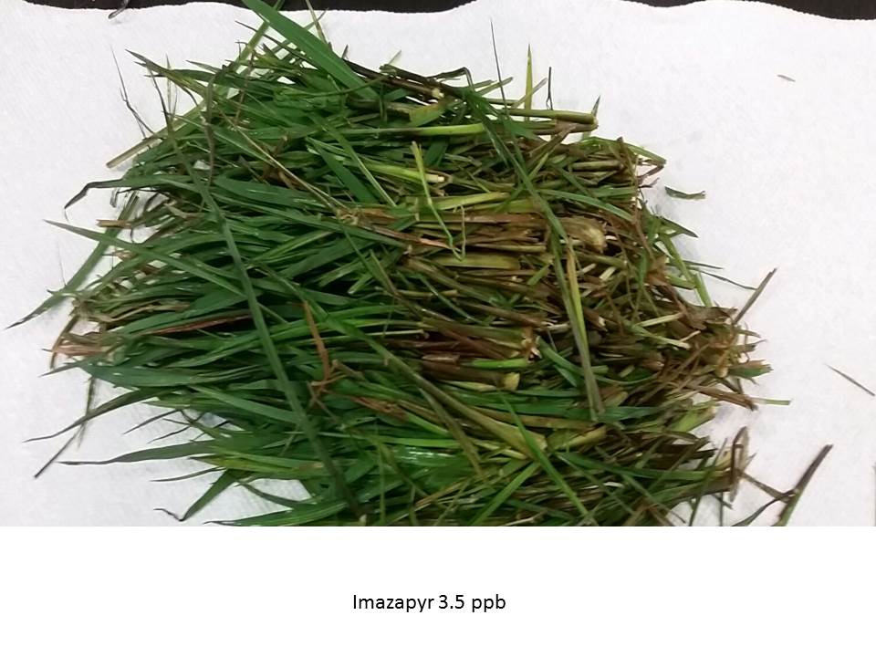 Pesticide Testing – South Dakota Agricultural Laboratories