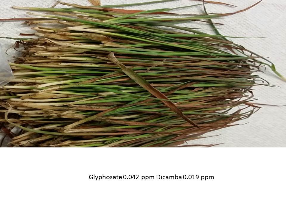 Pesticide Testing – South Dakota Agricultural Laboratories